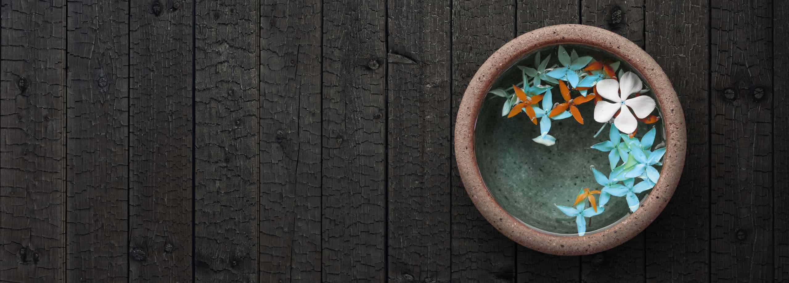 Contacter l'Oasis Meïso le plus proche de chez vous | ( meïsō )